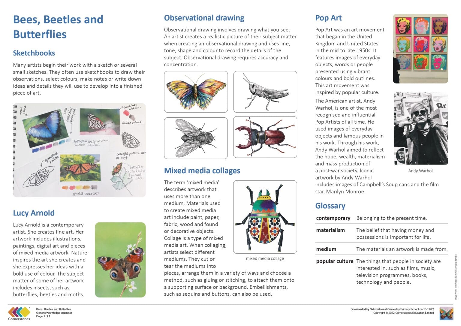 Bees, Beetles and Butterflies – Gamesley Primary School