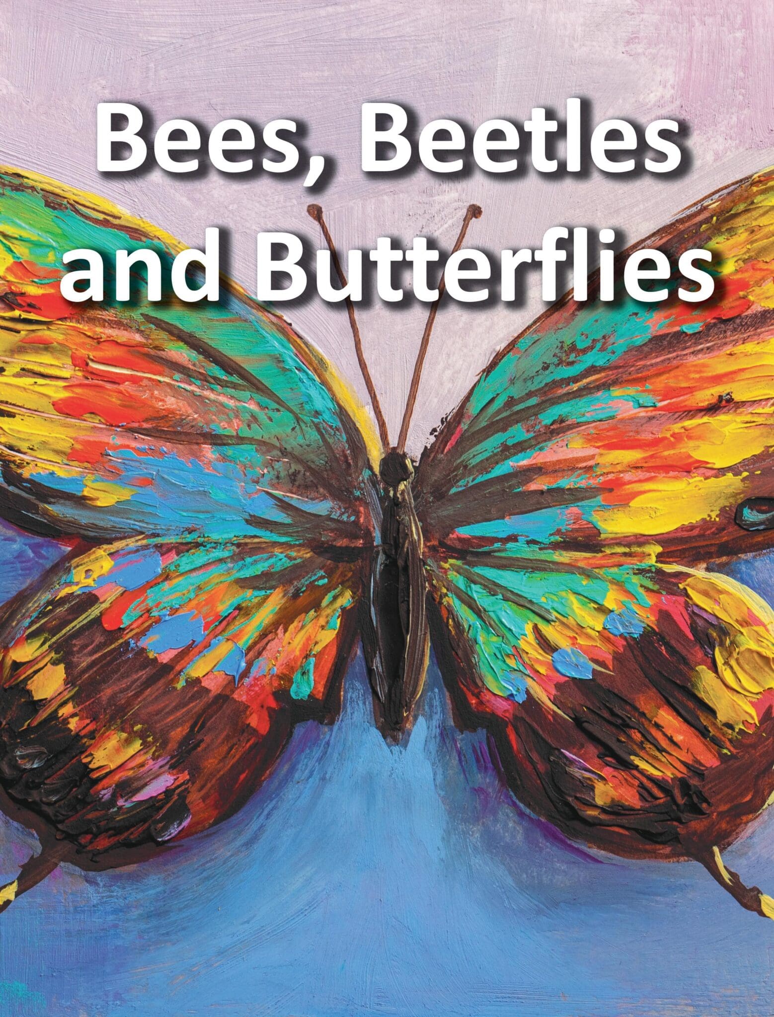 Bees, Beetles and Butterflies – Gamesley Primary School