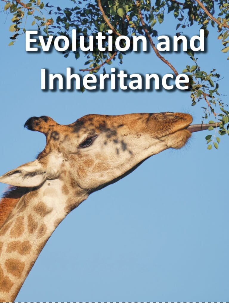 Evolution and Inheritance – Gamesley Primary School