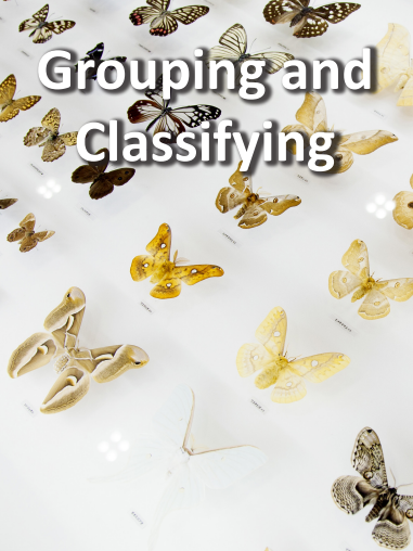 Year 4 Chestnut Class – Gamesley Primary School