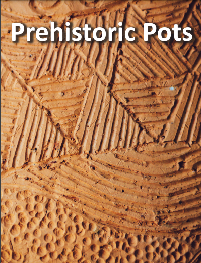 Year 3 Holly Class 2024-2025 – Gamesley Primary School